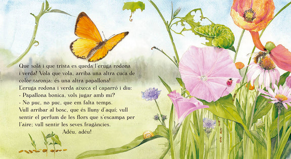 L'eruga verda de Sally Cutting | ING Edicions – ING EDICIONS